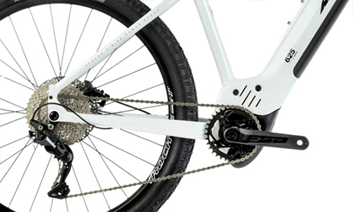 Mountain e-bike APACHE Tanka Tate Bosch